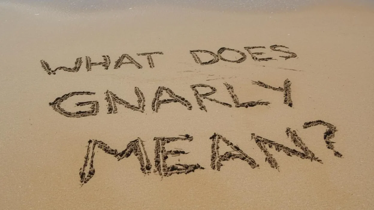 What Does Gnarly Mean? Meaning, Examples & Usage 2026